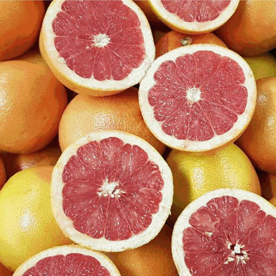 Fruit Calendar | Green Marketing